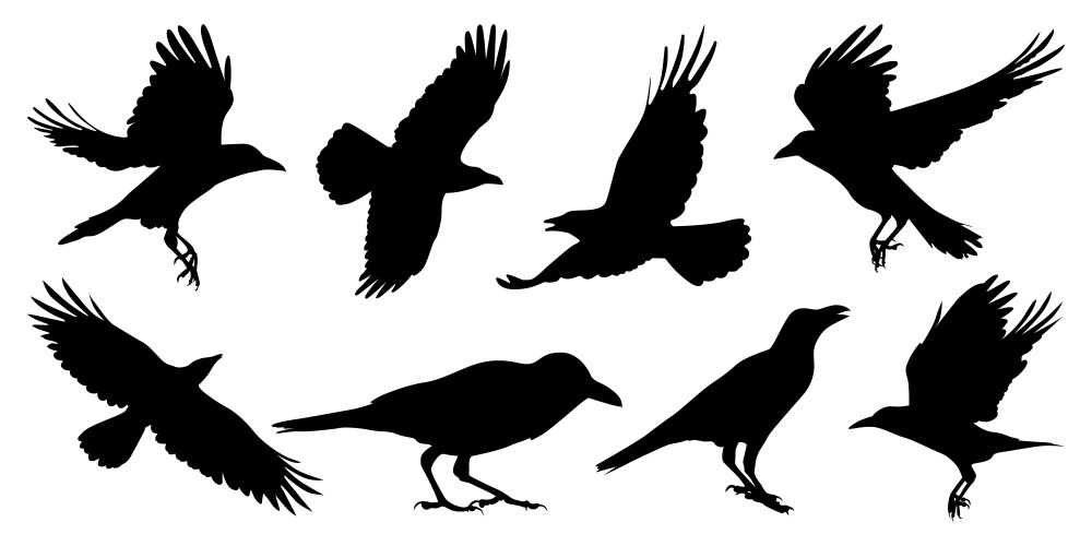 Crow Outline Vector Images (over 3,900)