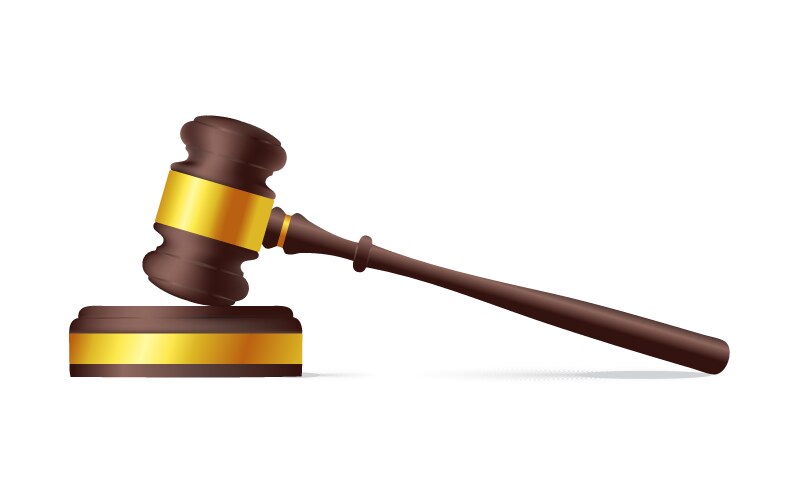 Judge gavel isolated Royalty Free Vector Image