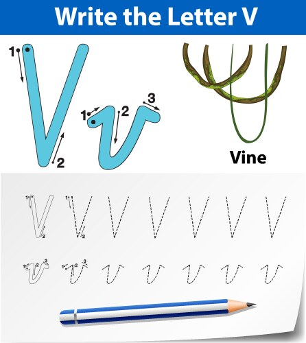 Letter V Clipart Vector Images (over 190)