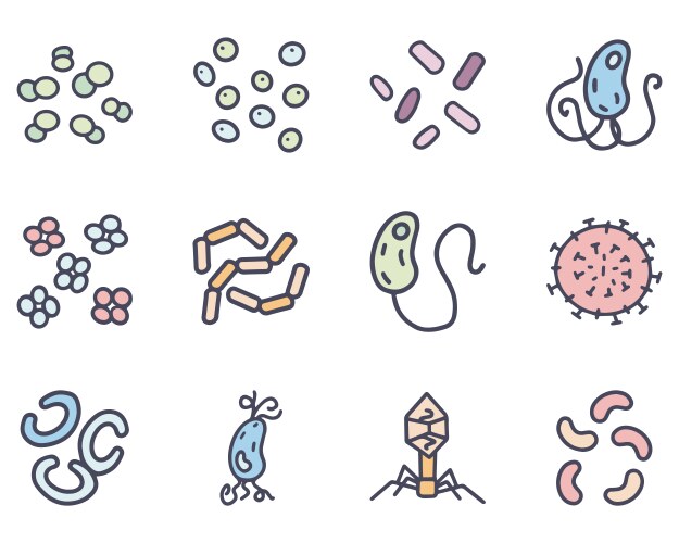 Bacteria Drawing Vector Images (over 8,000)