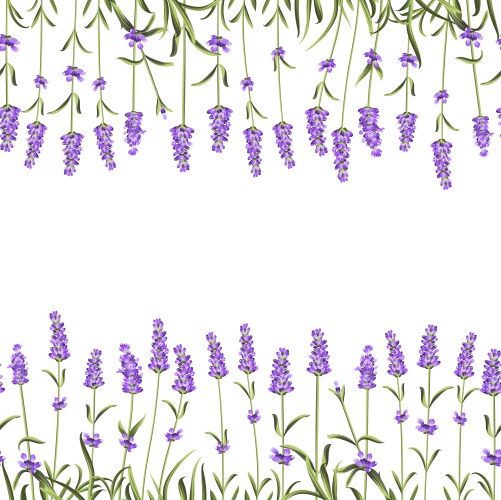 Line Frame Vector Images (over 790,000)