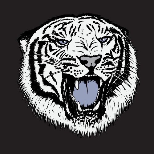 White Tiger Vector Images (over 78,000)