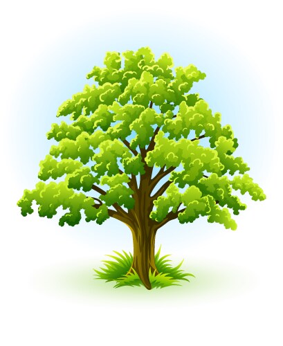 Oak Tree Vector Images (over 59,000)