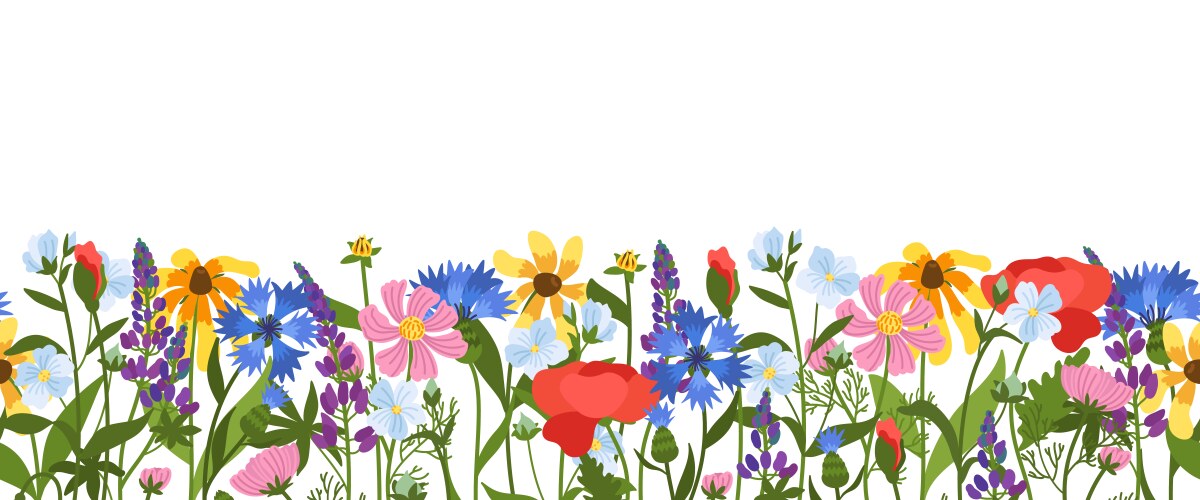 Beautiful Border Vector Images (over 140,000)