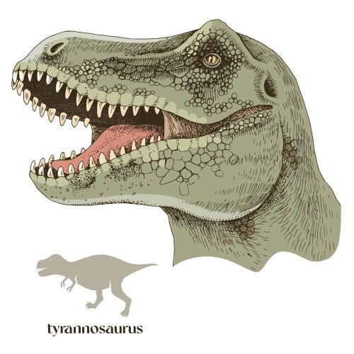 T Rex Vector Images (over 8,100)