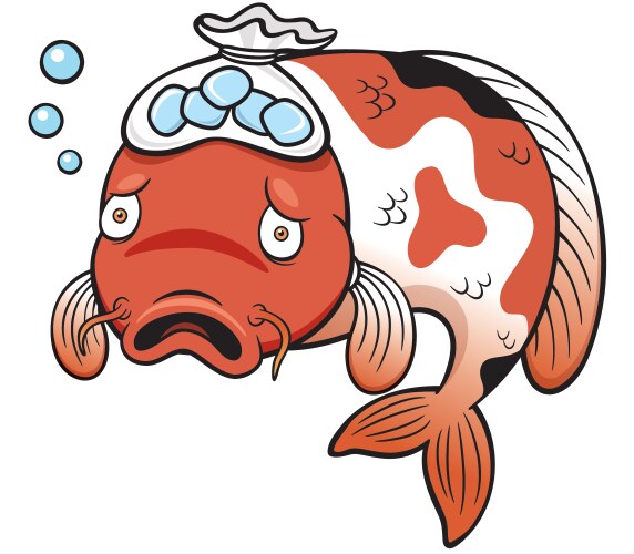 Koi Fish Cartoon Vector Images (over 1,600)