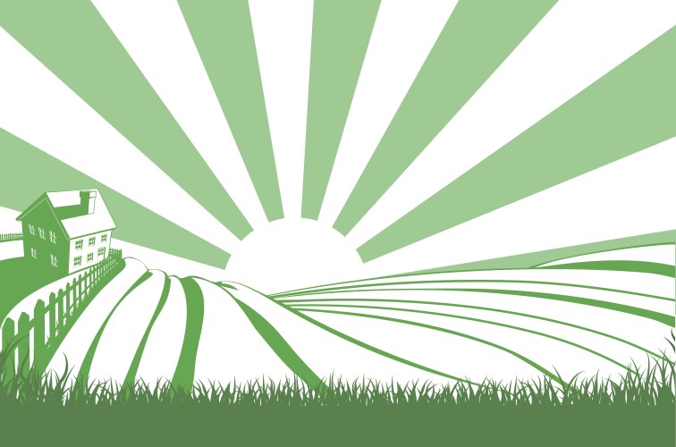 Rice fields farm landscape sunshine Royalty Free Vector