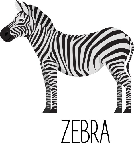 Zebra Cartoon Vector Images (over 13,000)