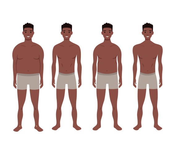 Male body template front Royalty Free Vector Image