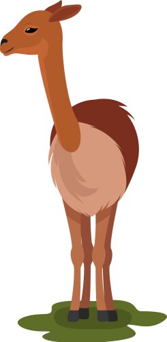 Vicuna cute cartoon animal Royalty Free Vector Image
