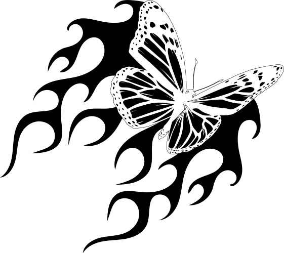 Butterfly Royalty Free Vector Image - VectorStock