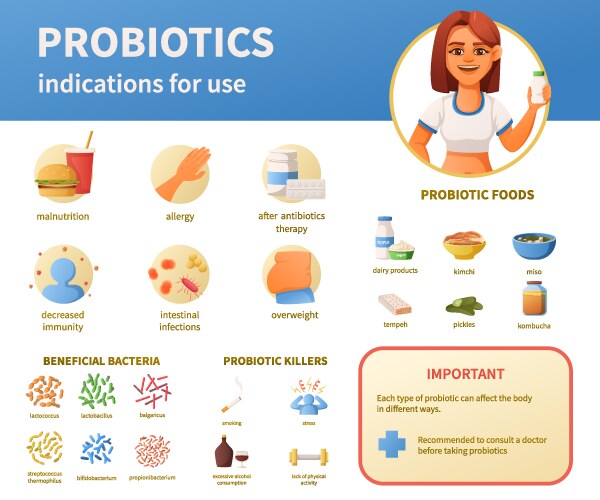 Probiotics types poster Royalty Free Vector Image