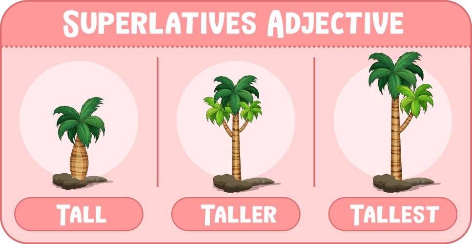 Comparative adjectives for word tall Royalty Free Vector