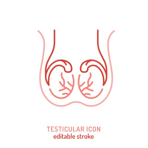 Testicles Vector Images (over 2,600)