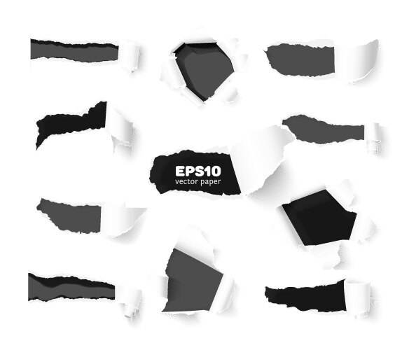 Torn paper realistic Royalty Free Vector Image