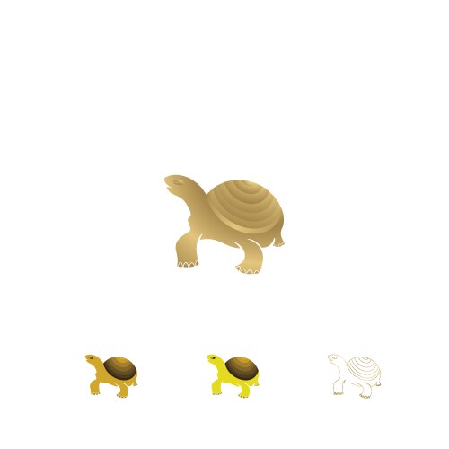 Tortoise logo design template inspiration Vector Image
