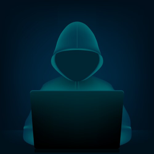Silhouette a hacker in hood with binary code Vector Image
