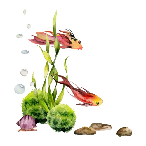 Hand drawn watercolor aquarium fish algae Vector Image