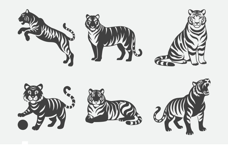 Print tiger clipart featuring Royalty Free Vector Image