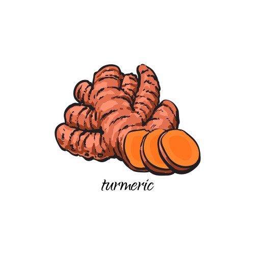 Turmeric tea Royalty Free Vector Image - VectorStock