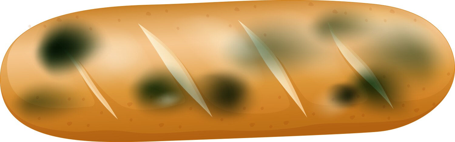 Inedible bread with mould Royalty Free Vector Image