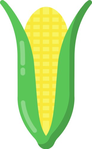Corn Royalty Free Vector Image - VectorStock