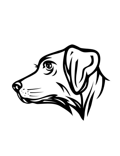 Dog Black White Drawing Face Vector Images (over 24,000)