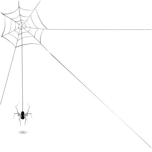 Spider Royalty Free Vector Image - VectorStock