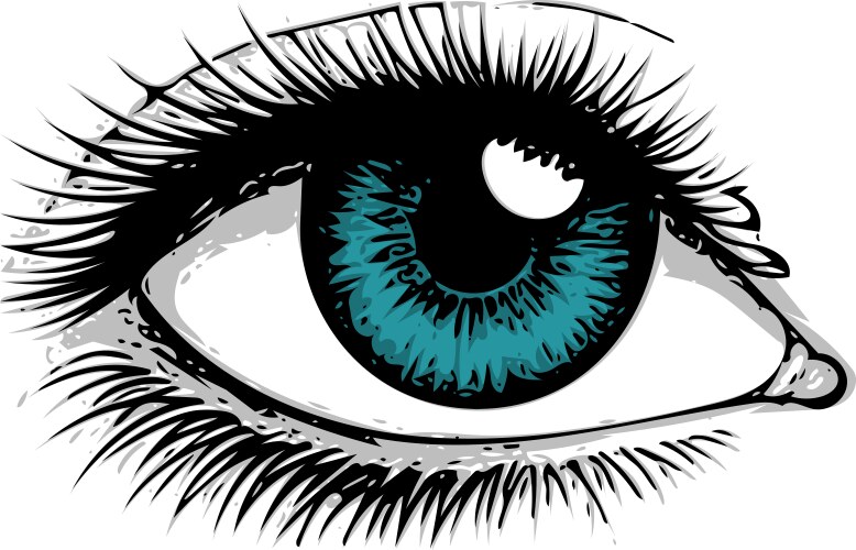 Beautiful lady eye sketch Royalty Free Vector Image