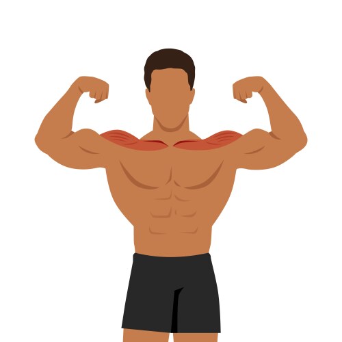 Man Flexing Vector Images (over 2,300)