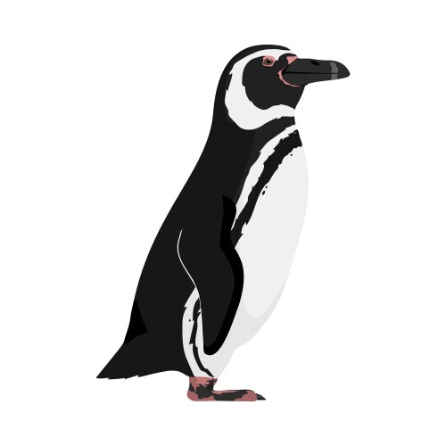 Penguin Side View Vector Images (78)
