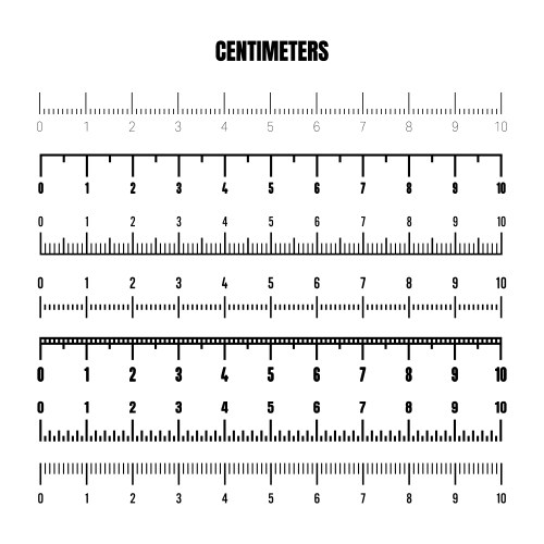 Measuring rulers school ruler metric scale Vector Image