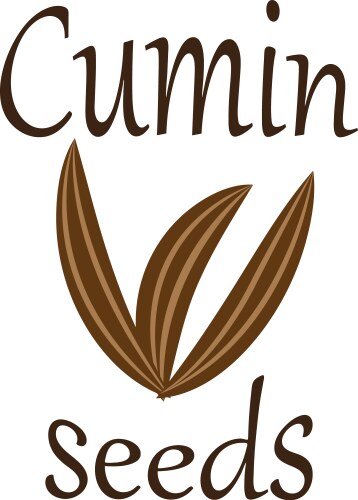Cumin Vector Images (over 2,100)