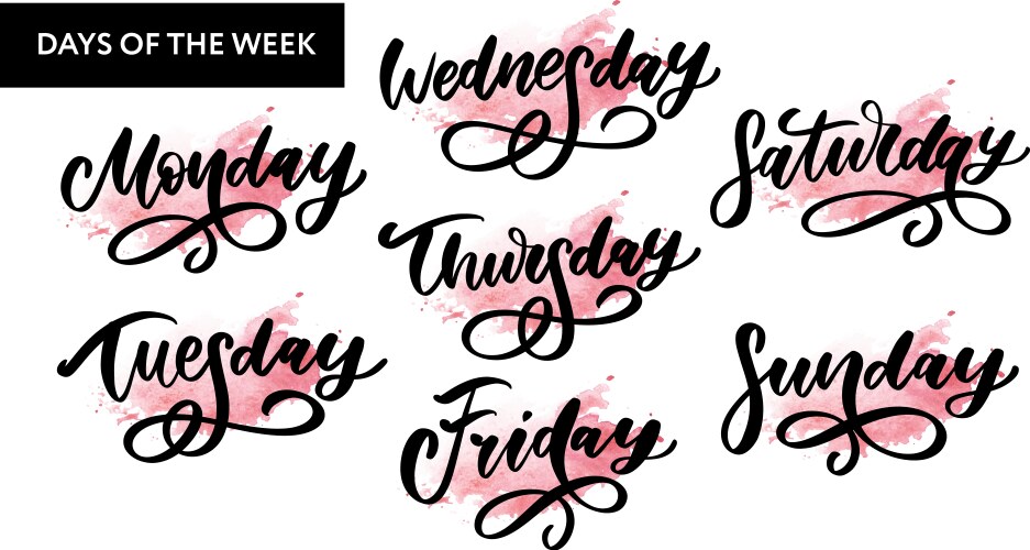Handwritten week days and symbols set ink font Vector Image