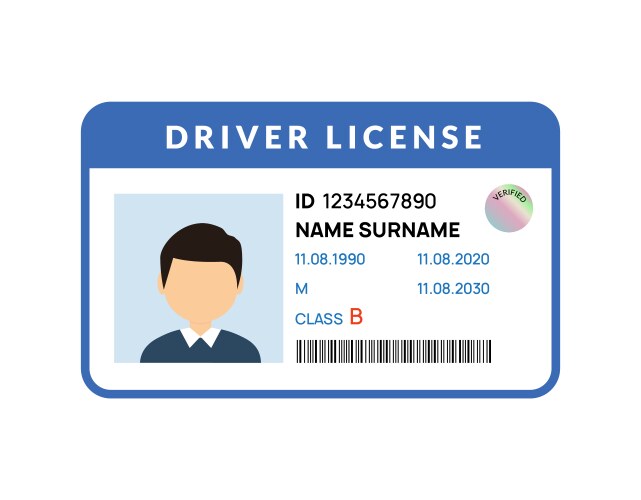 Driver License Vector Images (over 4,300)