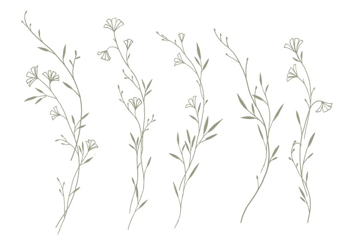 Beautiful clip art stock set Royalty Free Vector Image