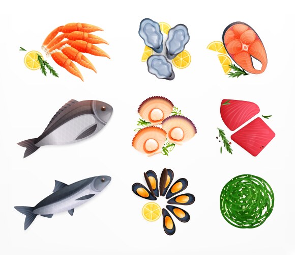 Cartoon raw seafood fish fresh salmon lobster Vector Image