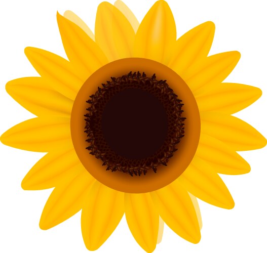 Sunflower Vector Images (over 53,000)
