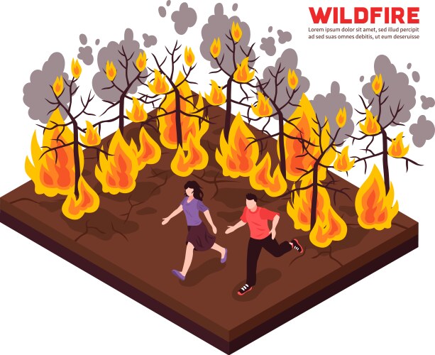 Forest fire cartoon Royalty Free Vector Image - VectorStock