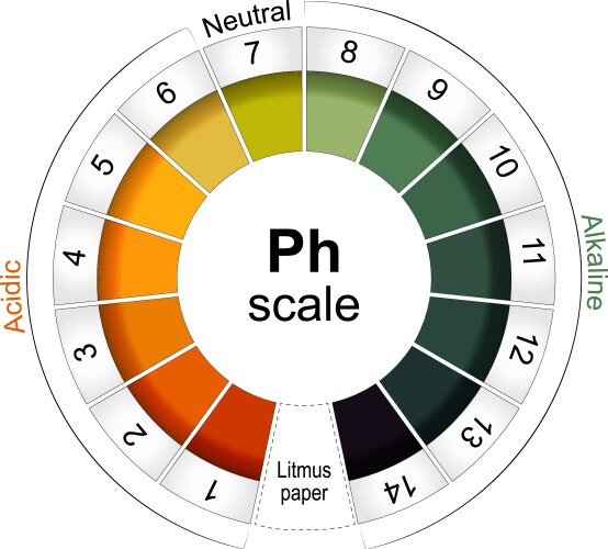 Ph scale universal indicator test strips Vector Image