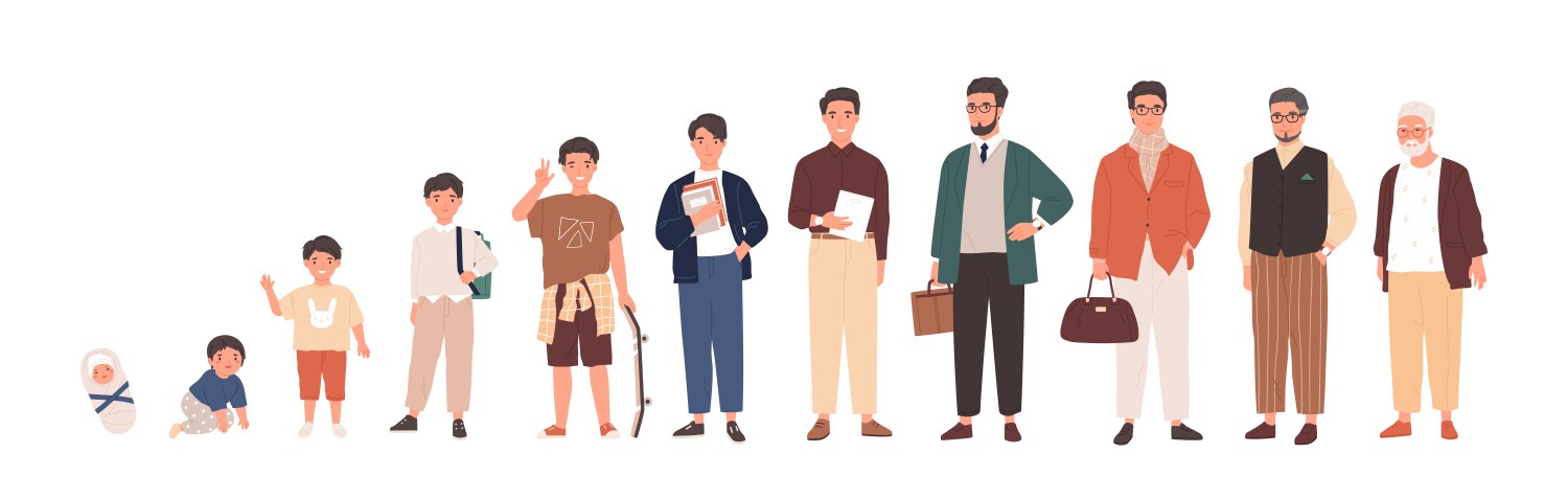 Man life cycle human development and growth Vector Image