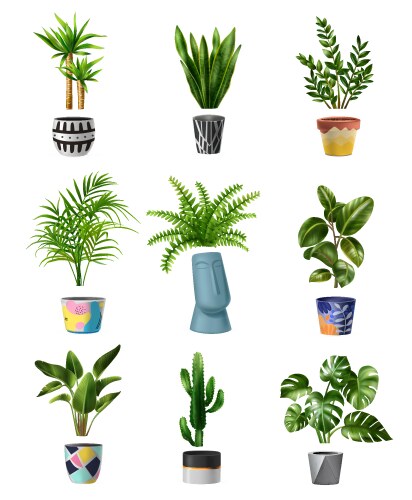 Grow a plant Royalty Free Vector Image - VectorStock