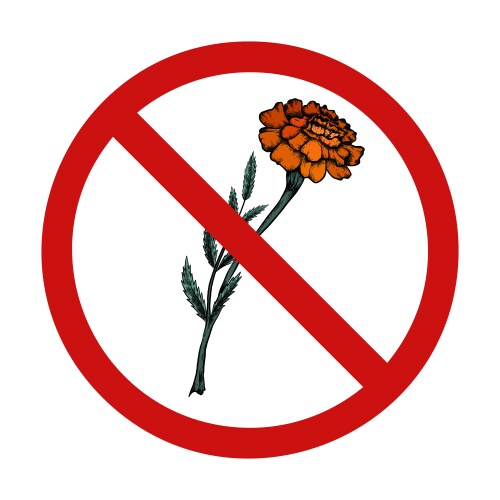 Prohibition sign with flower bouquet do not pick Vector Image