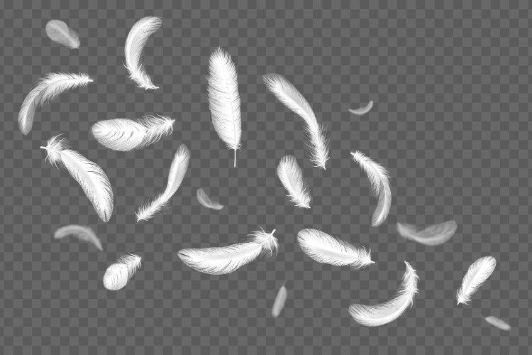 Angel Transparent Background Vector Images (over 700)