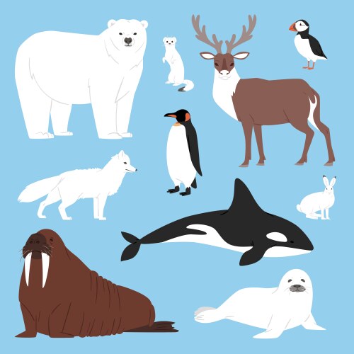 Polar Bear Cartoon Vector Images (over 14,000)