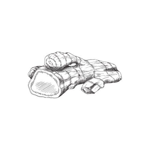 Turmeric Drawing Vector Images (over 450)