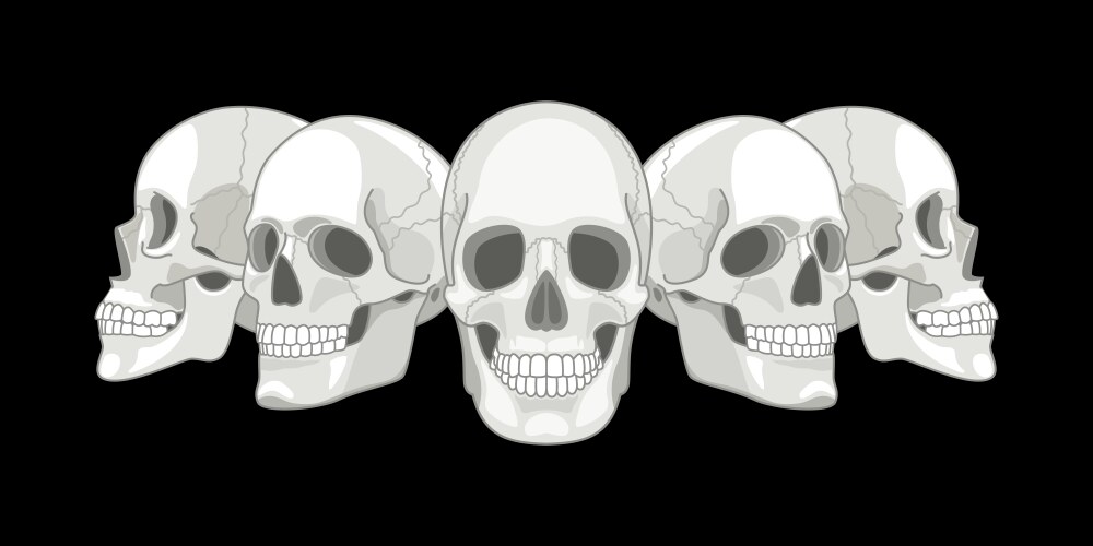 Skull Front Facing Vector Images (over 2,900)