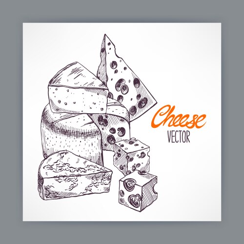 White Cheddar Vector Images (over 13,000)