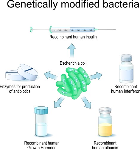 Modified Vector Images (over 21,000)