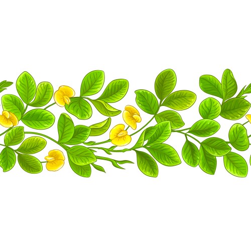 A peanuts plant on white background Royalty Free Vector